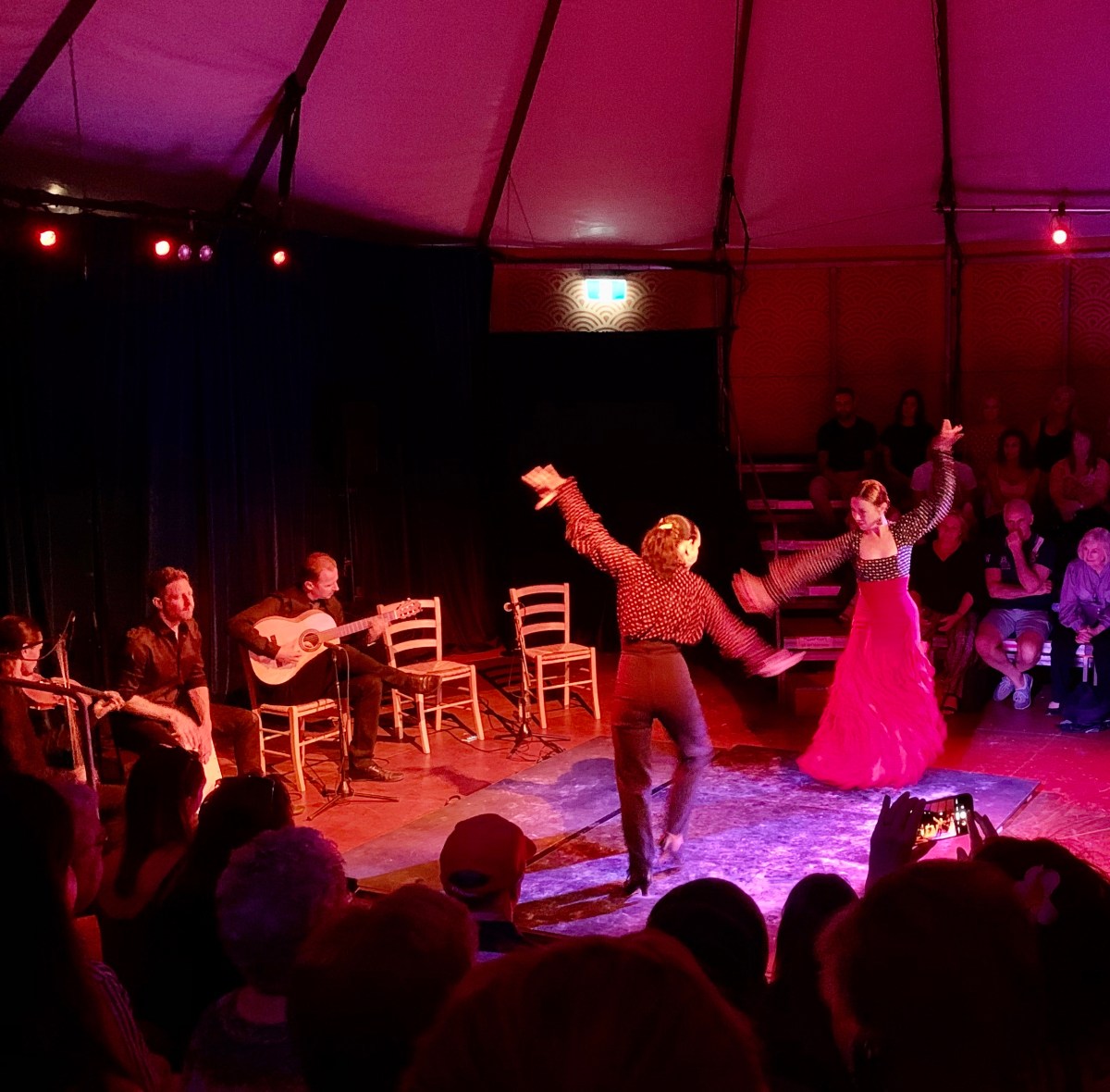 Rum, sun, shadows and elephants – Dr D in Oz